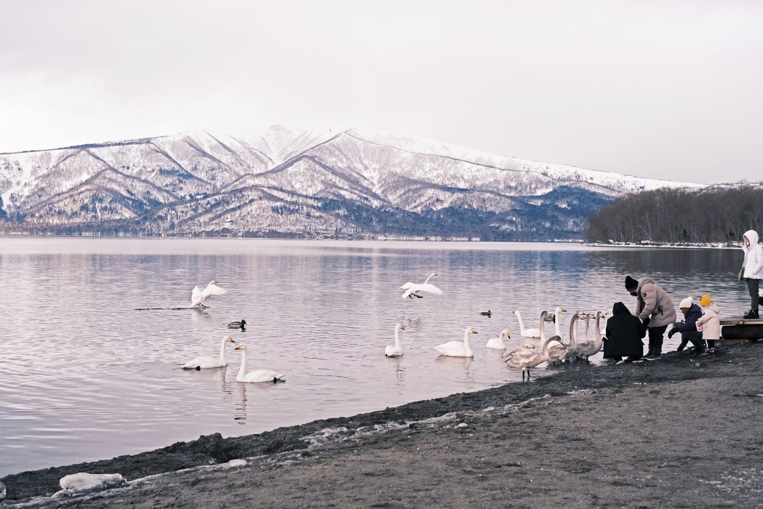 A story that begins at Lake Kussharo | 【Official】Private villa TAPKOP ...